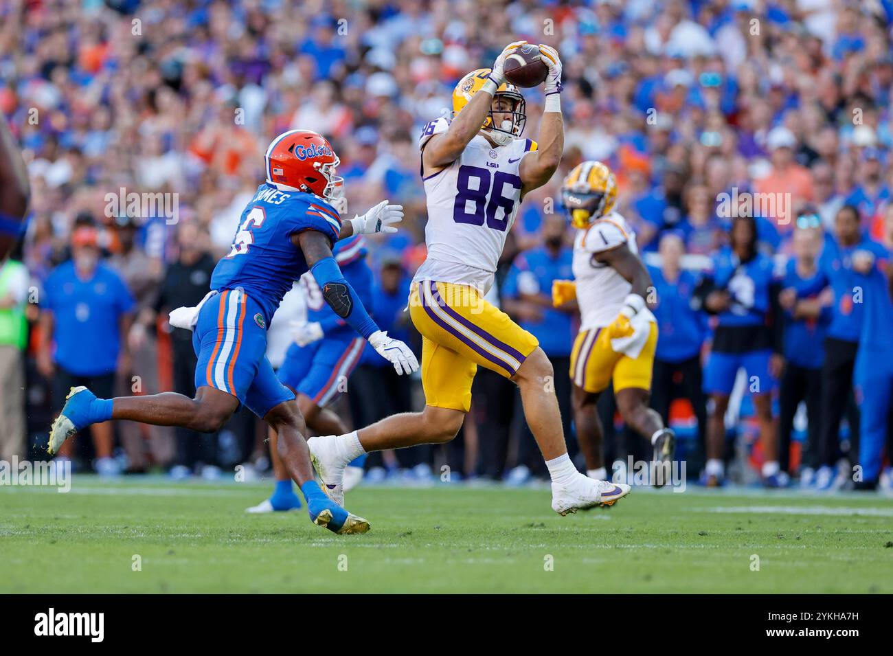 GAINESVILLE, FL - NOVEMBER 16: LSU Tigers tight end Mason Taylor (86 ...