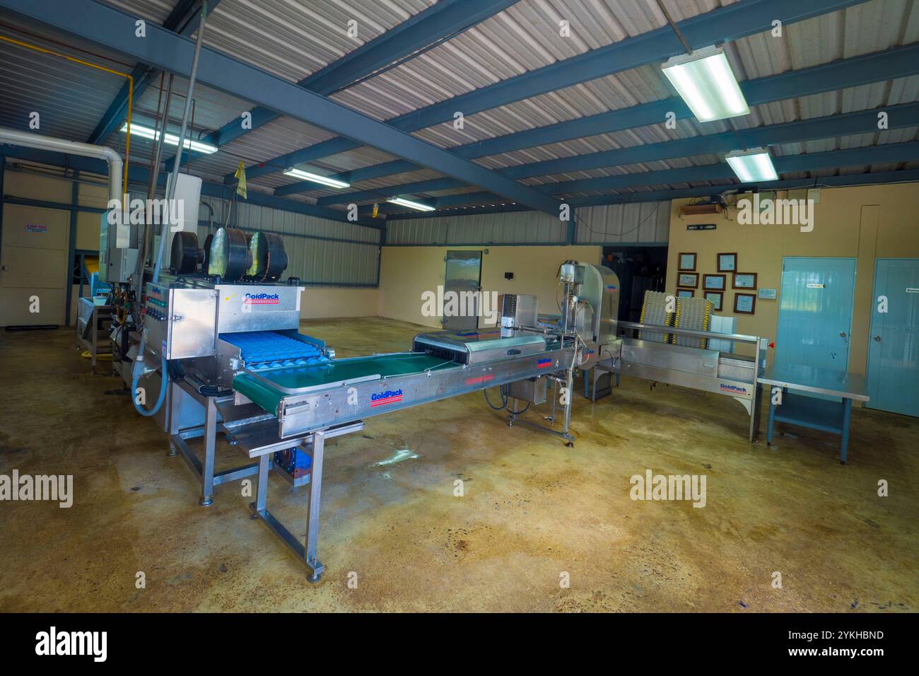 Fertilized egg hi-res stock photography and images - Alamy