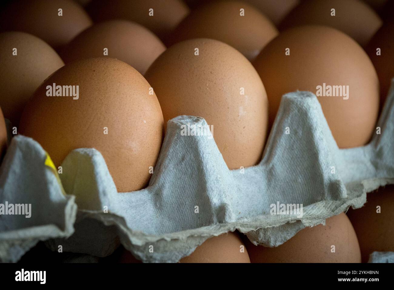 Automated egg processing equipment at a poultry farm helps to ...