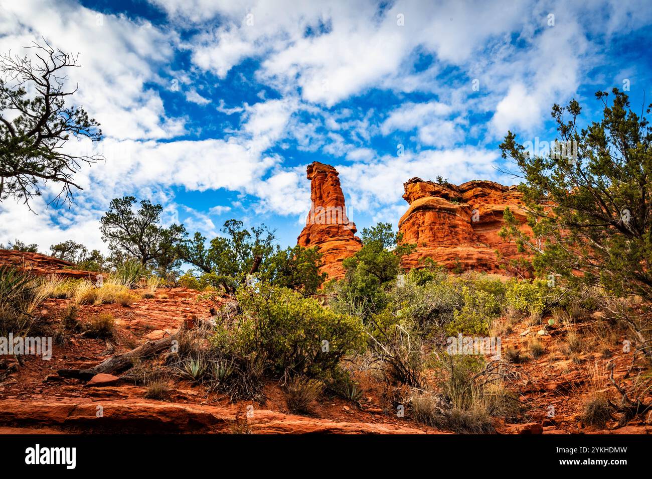 Red Rock State Park area in Coconino National Forest near Sedona ...