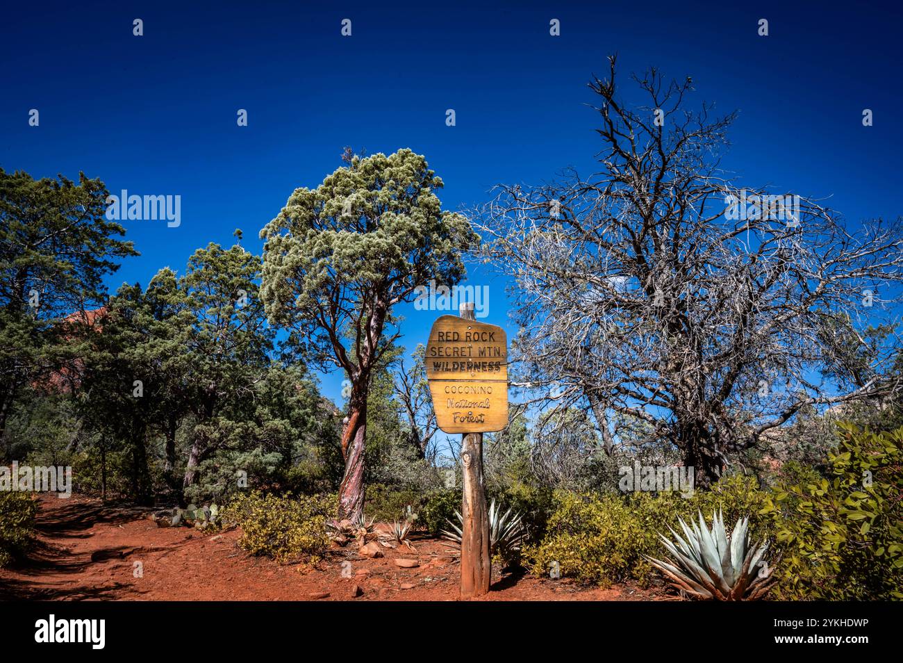 Red Rock State Park area in Coconino National Forest near Sedona ...