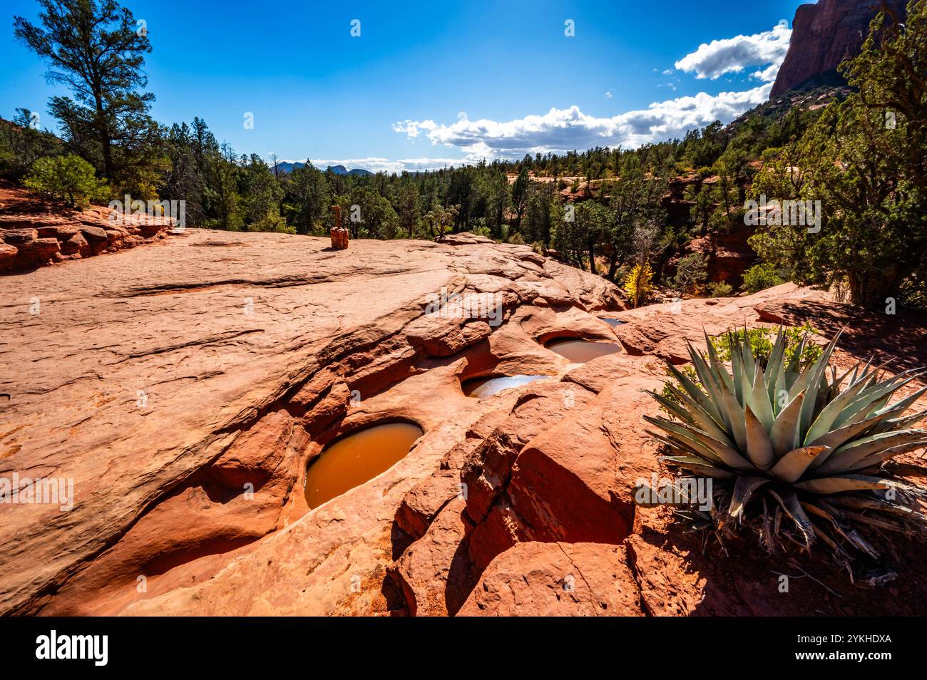 Sedona arizona and seven sacred pools hi-res stock photography and ...