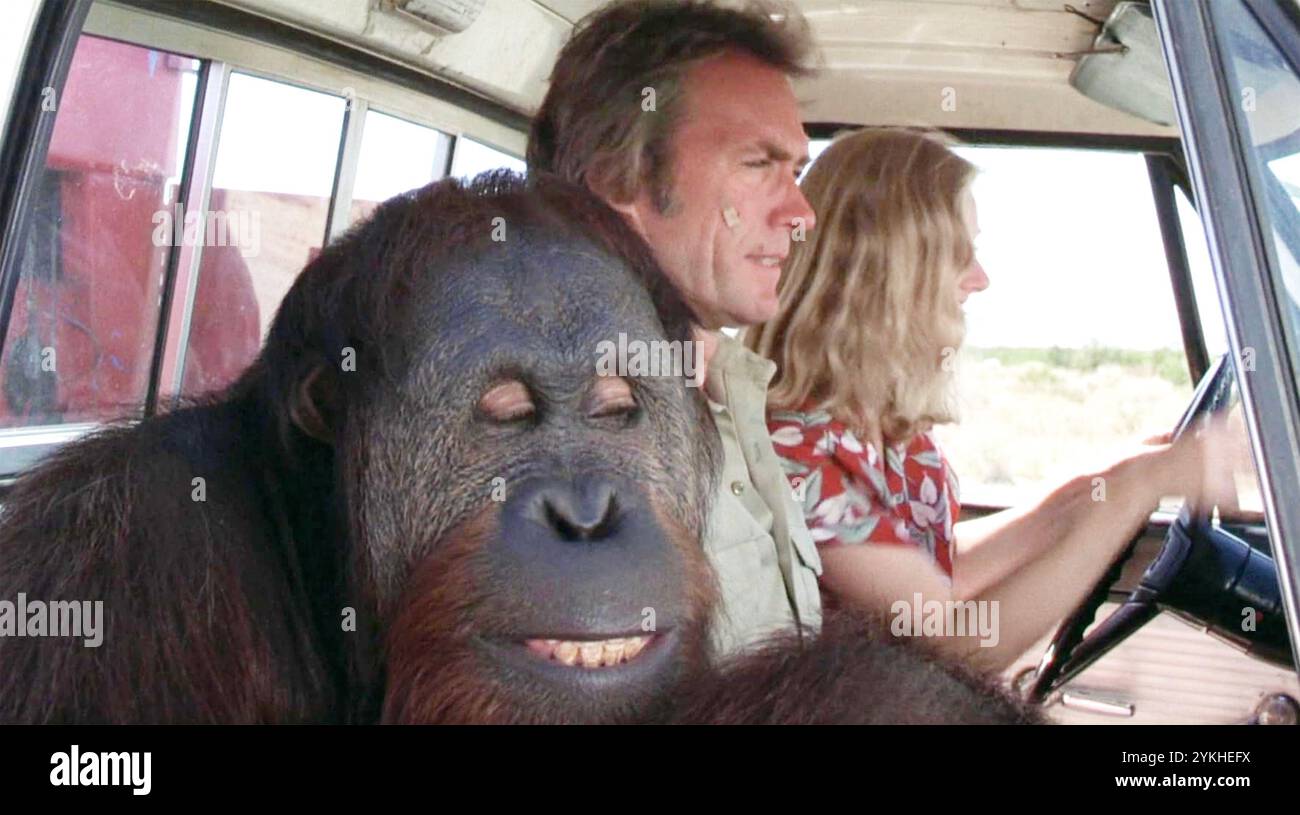 ANY WHICH WAY YOU CAN 1980 Warner Bros. film Clint Eastwood, Sondra ...