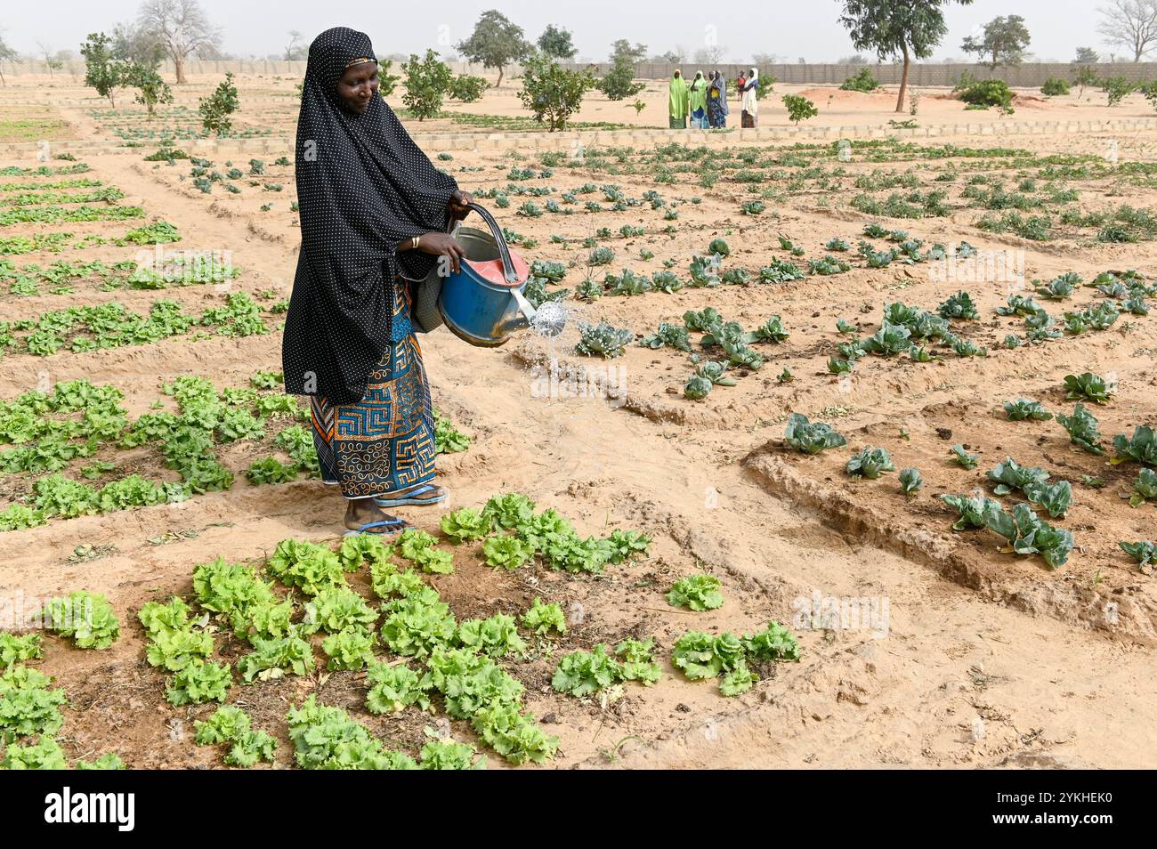 NIGER, Maradi, village Dan Bako, project poverty reduction and adaption ...