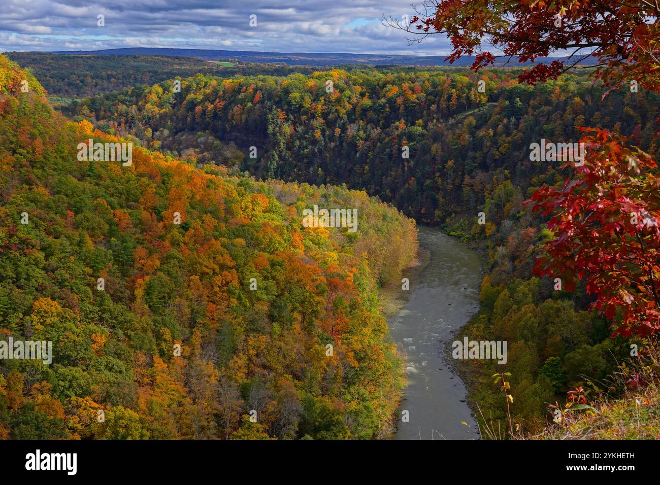 Genesee River surrounded by fall color in Letchworth State Park in New ...