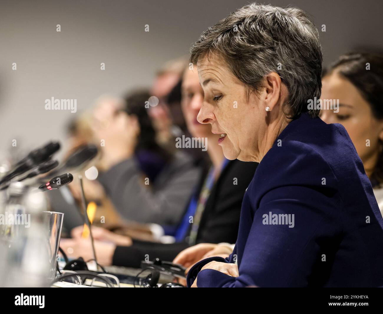 Baku, Azerbaijan. 18th Nov, 2024. Representative of the UK attends ...