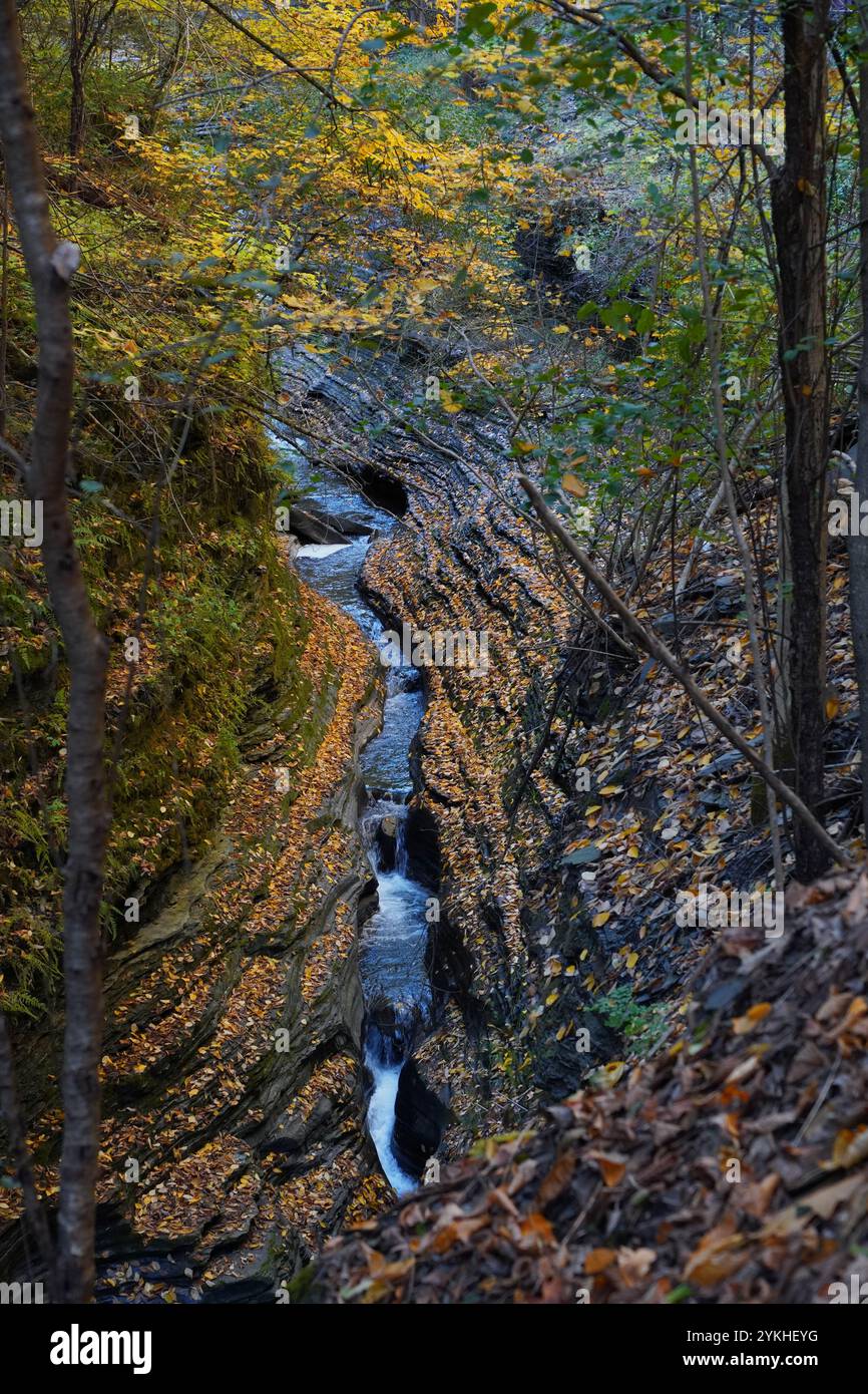 Watkins glen park scenery hi-res stock photography and images - Alamy