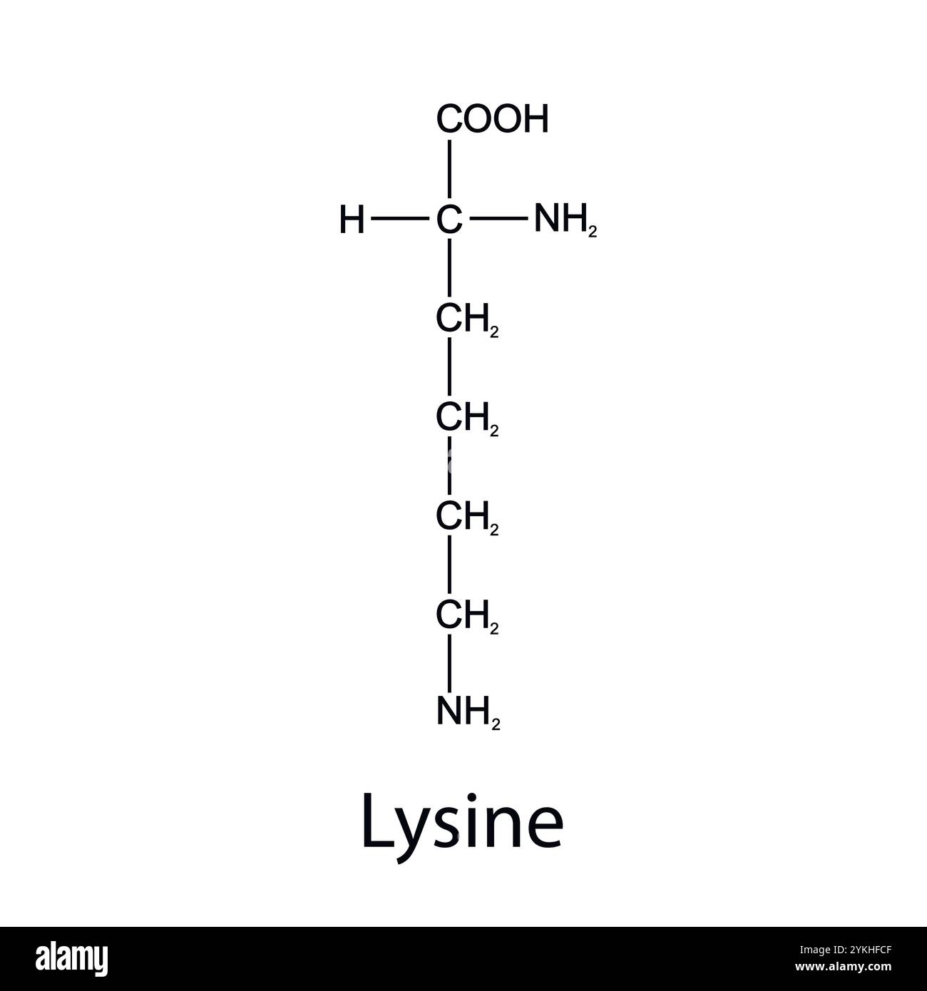 Chemical formula of lysine. Essential amino acids. Organic chemistry. Vector Stock Vector Image ...