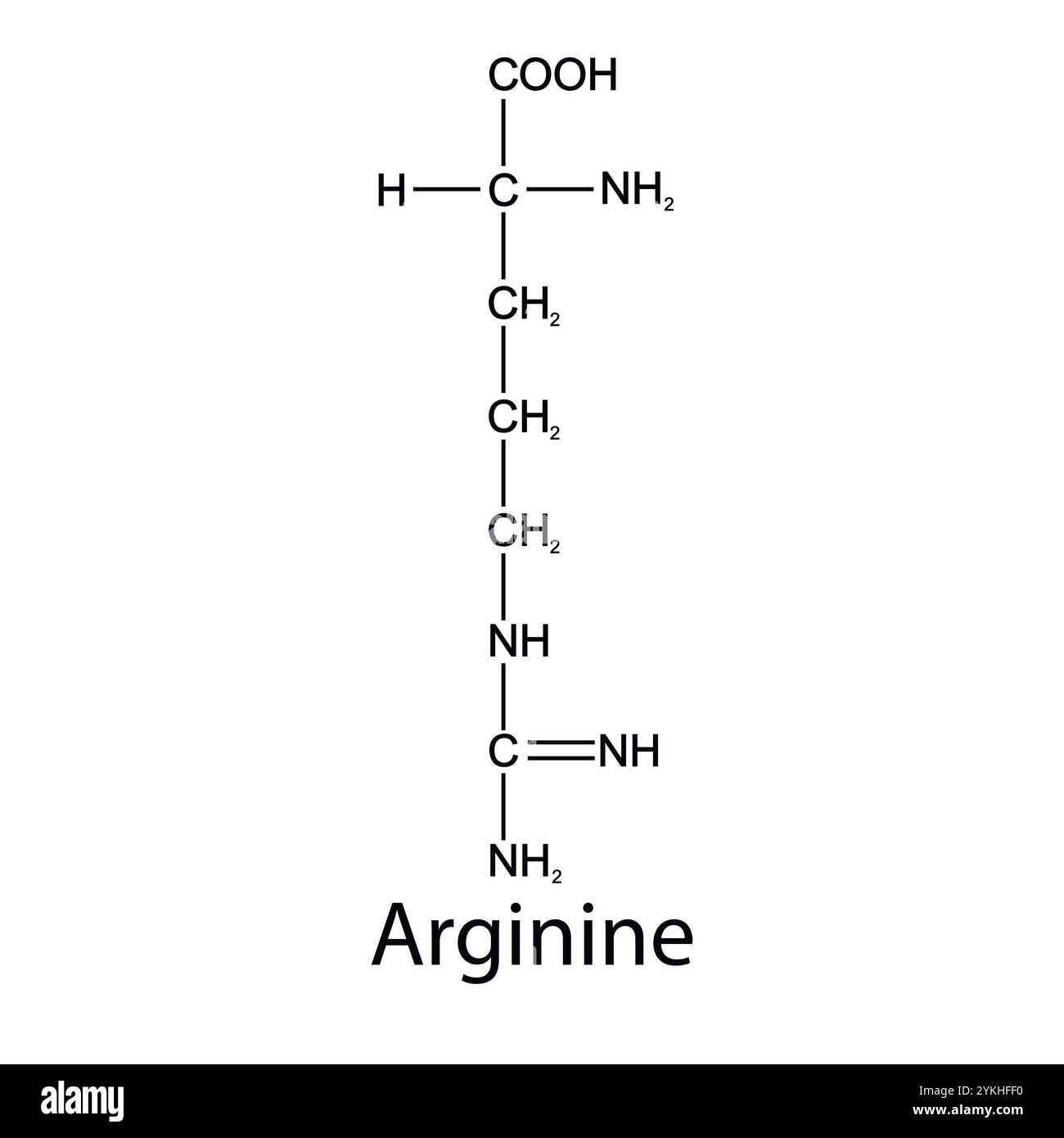 Chemical formula of arginine. Essential amino acids. Organic chemistry ...