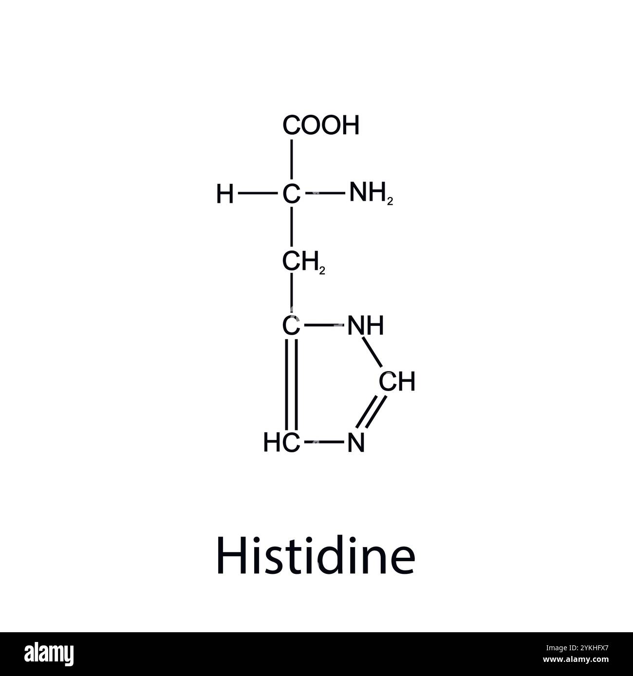 Chemical formula of histidine. Essential amino acids. Organic chemistry ...