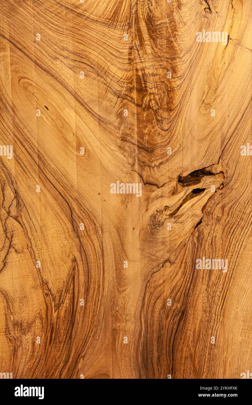 Example of a large slab of English Walnut on display at the Parker ...