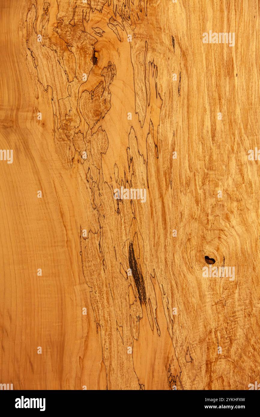 Example of a large slab of Maple wood on display at the Parker Street ...