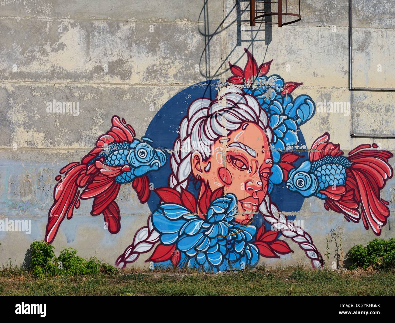 Graffiti fish russia hi-res stock photography and images - Alamy
