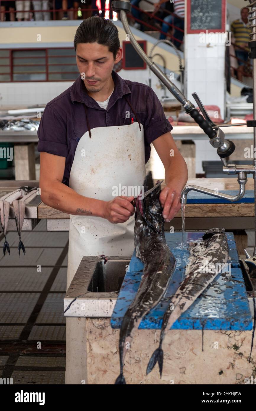 Fishmonger filleting black scabbard fish at Madeira fish market Stock ...