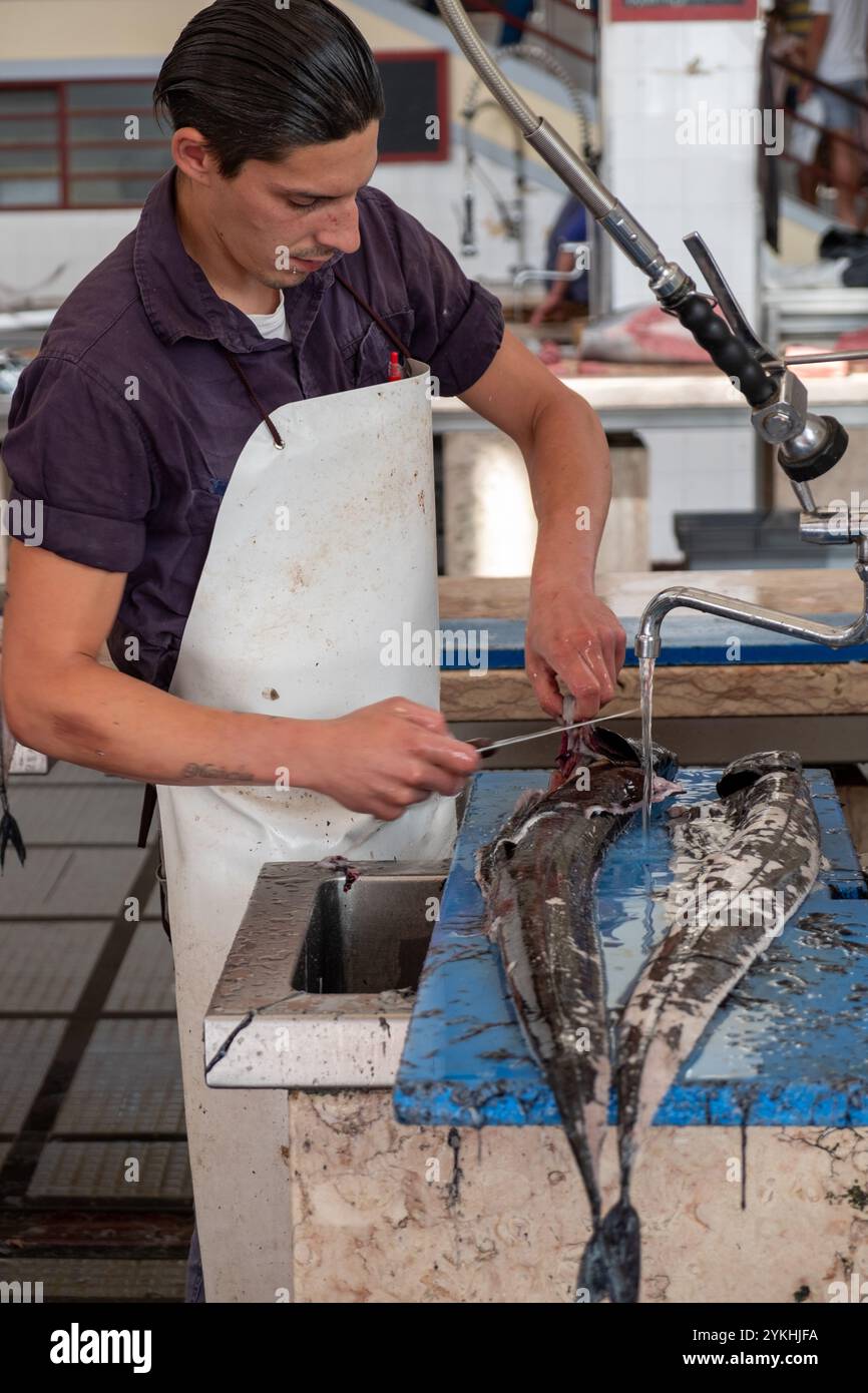 Fishmonger filleting black scabbard fish at Madeira fish market Stock ...