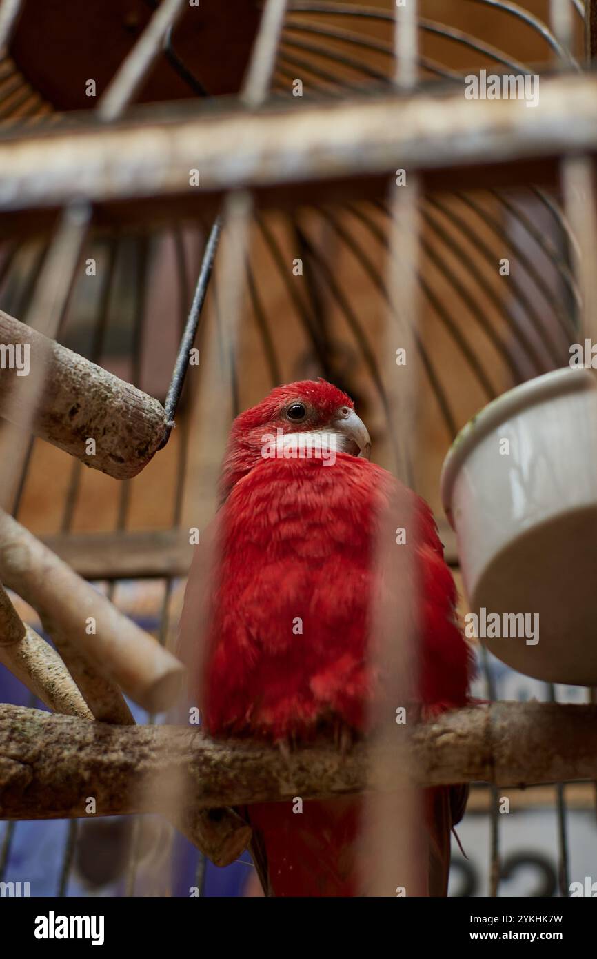 Amazon cafe hi-res stock photography and images - Alamy