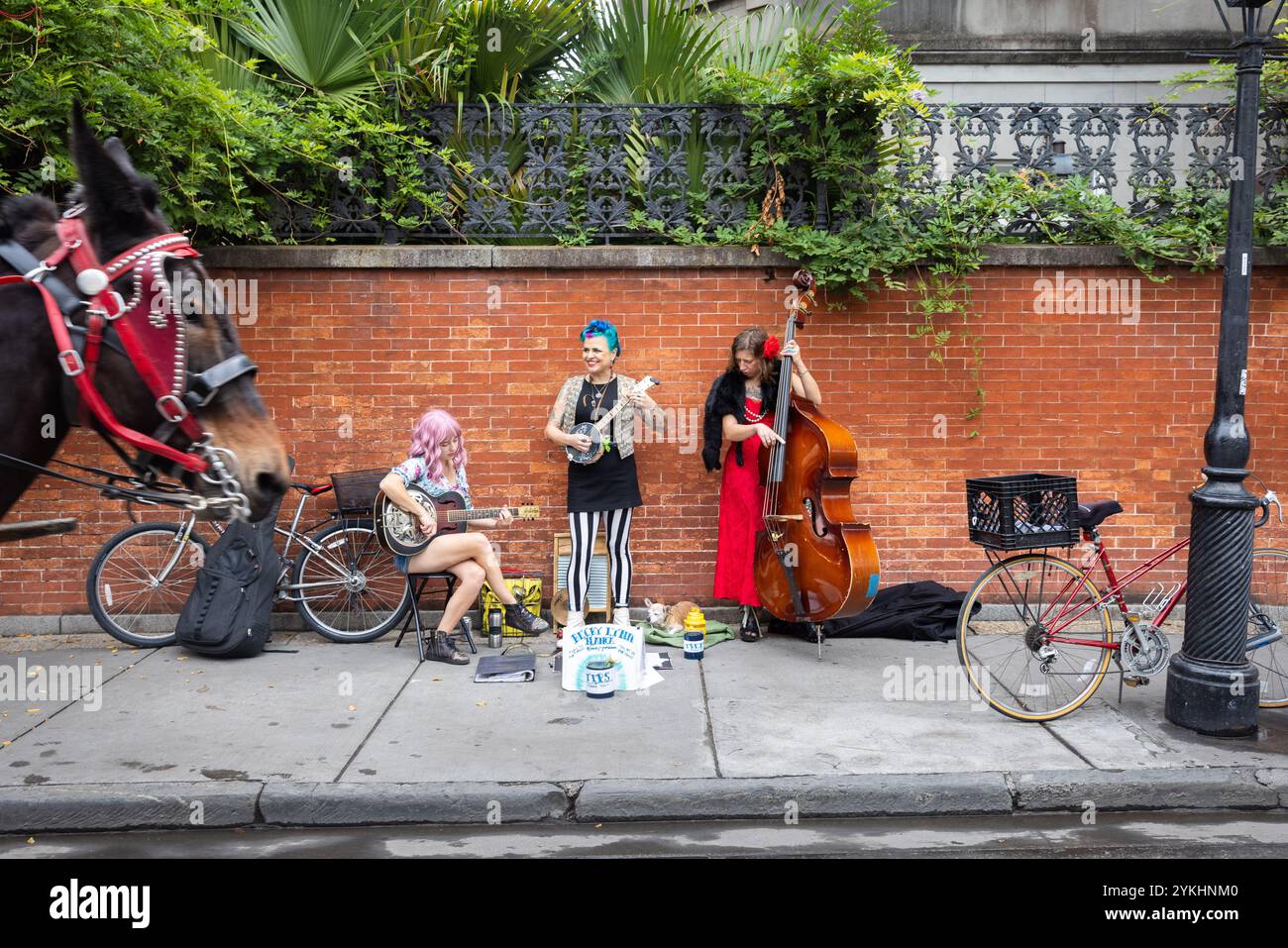 Street musicians in the French Quarter, New Orleans, Louisiana Stock ...