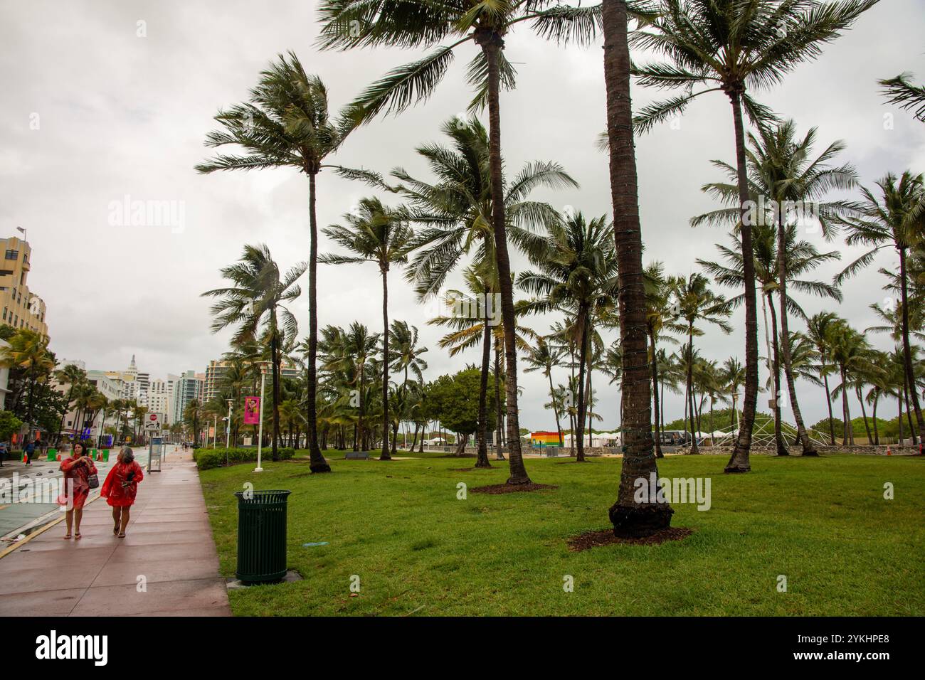 Palm trees by world famous Ocean Drive in Miami Beach Stock Photo - Alamy