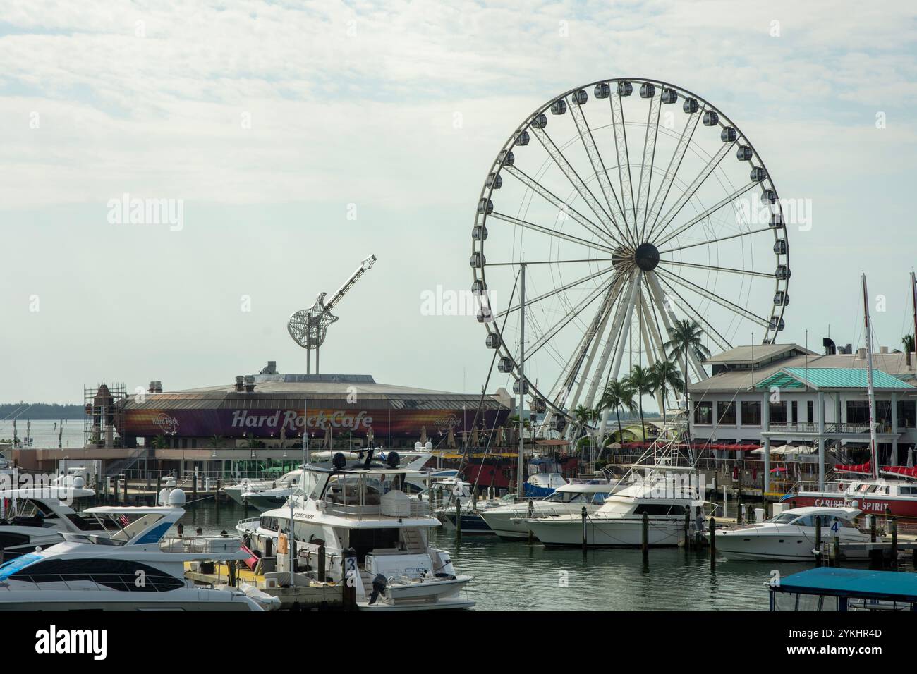 Panoramic view of Skyviews Miami Observation Wheel and Hard Rock Cafe ...