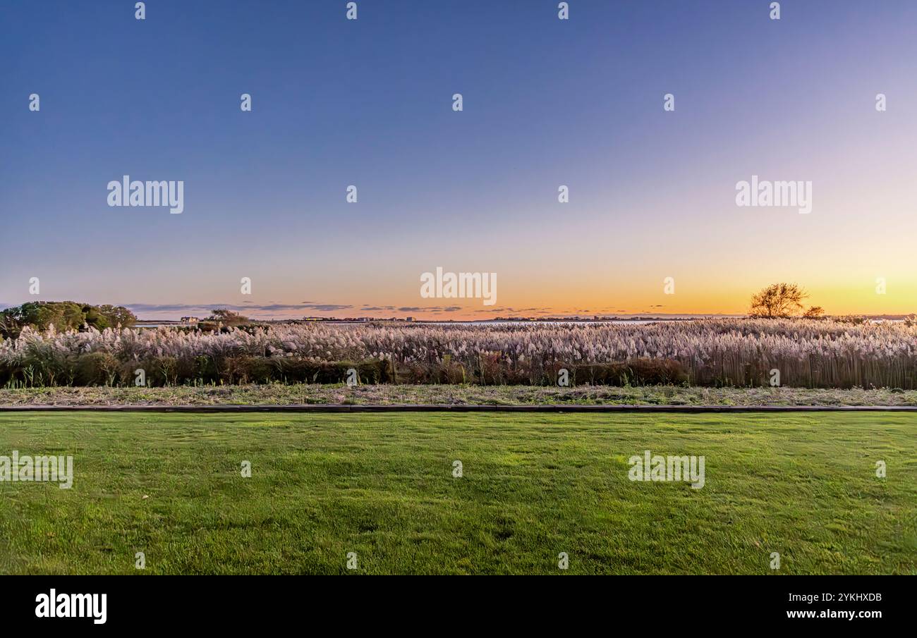 Real the late hi-res stock photography and images - Alamy