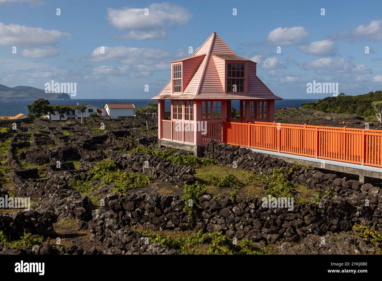 The Pico Wine Museum is about winemaking and the history of wine ...