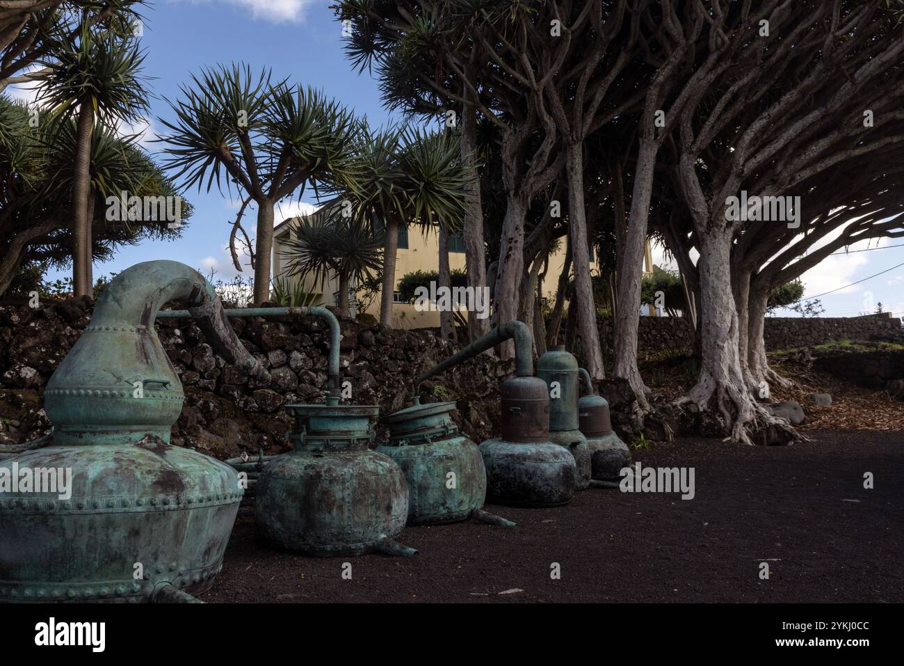 The Pico Wine Museum is about winemaking and the history of wine ...