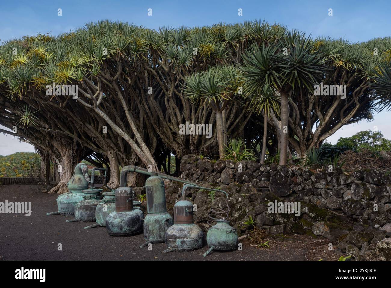 The Pico Wine Museum is about winemaking and the history of wine ...