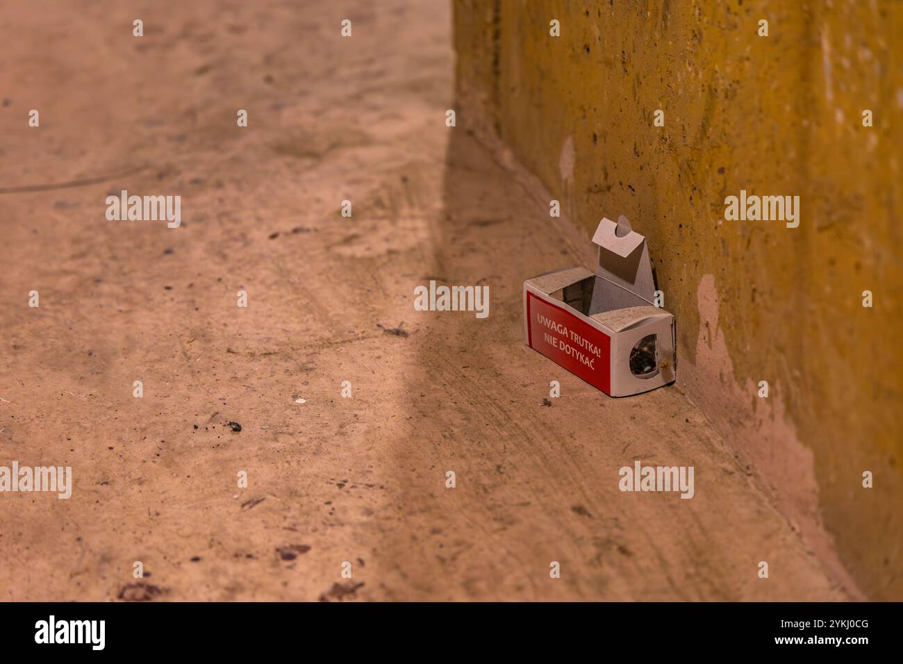 A box with poison for rats, mice, rodents, on the ground in the floor ...