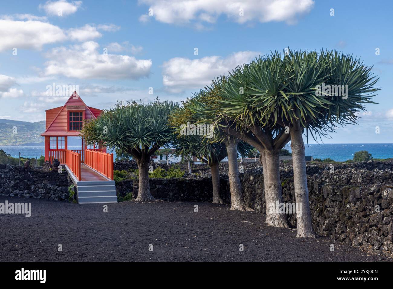 The Pico Wine Museum is about winemaking and the history of wine ...