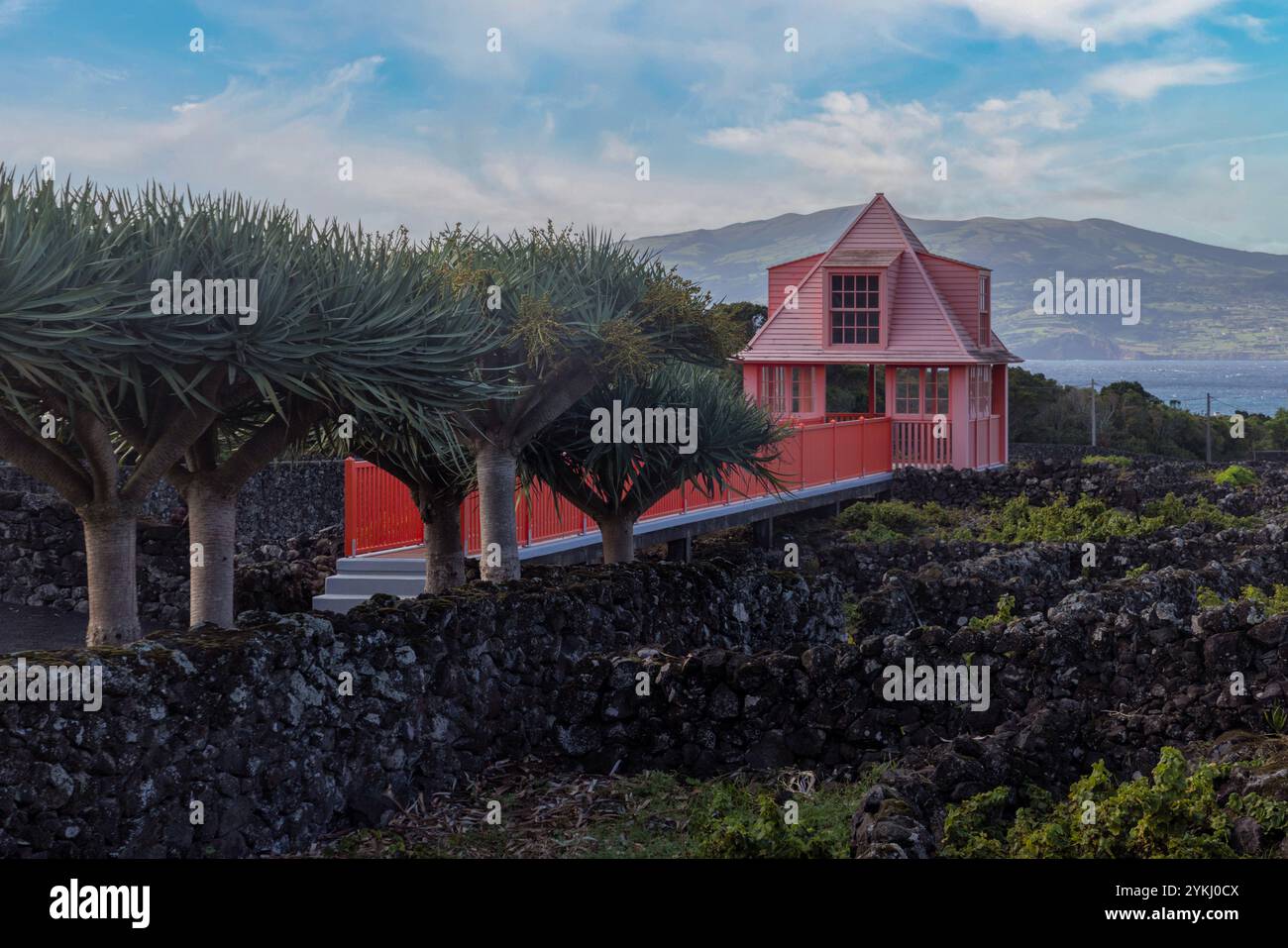 The Pico Wine Museum is about winemaking and the history of wine ...