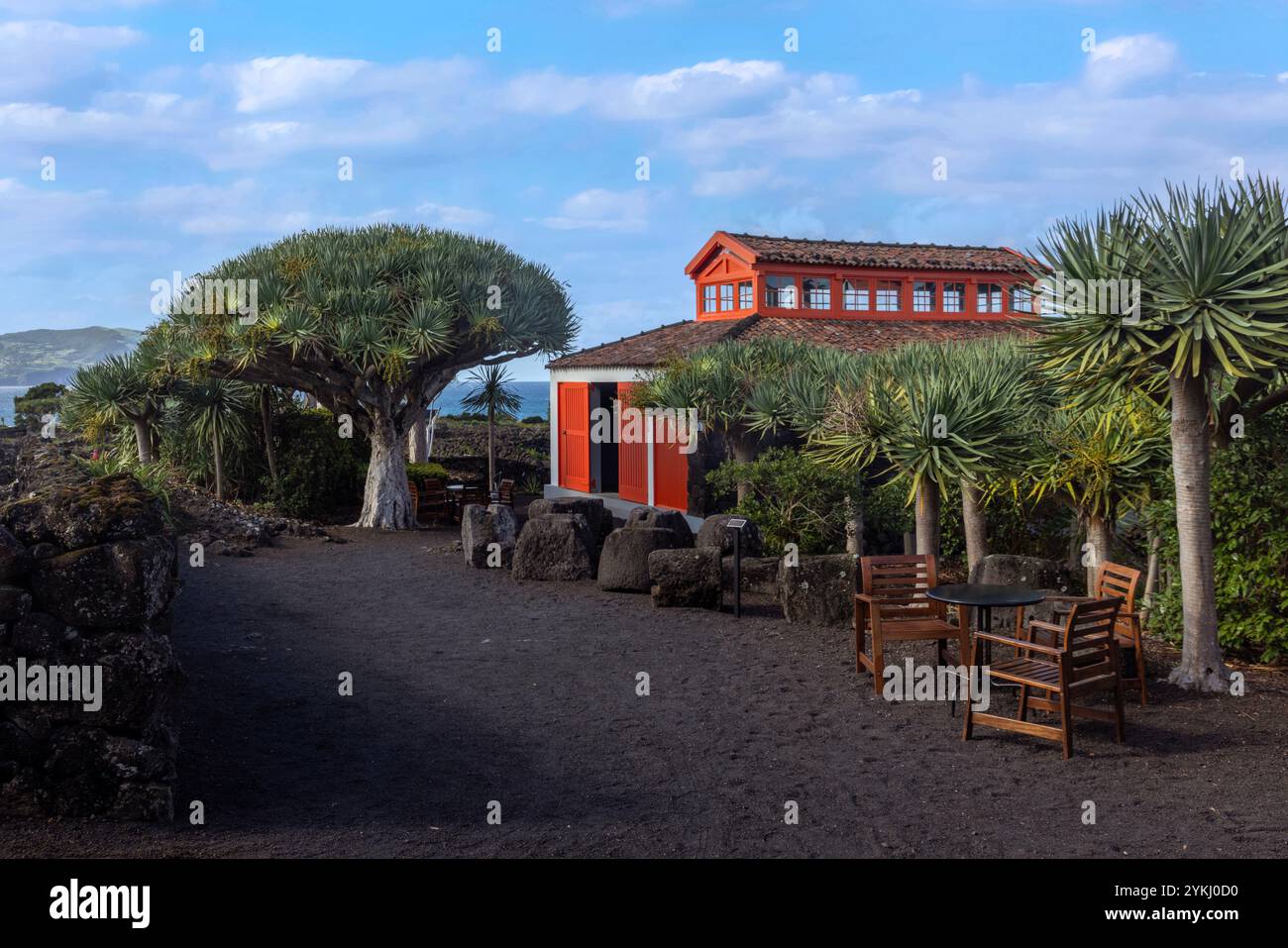 The Pico Wine Museum is about winemaking and the history of wine ...