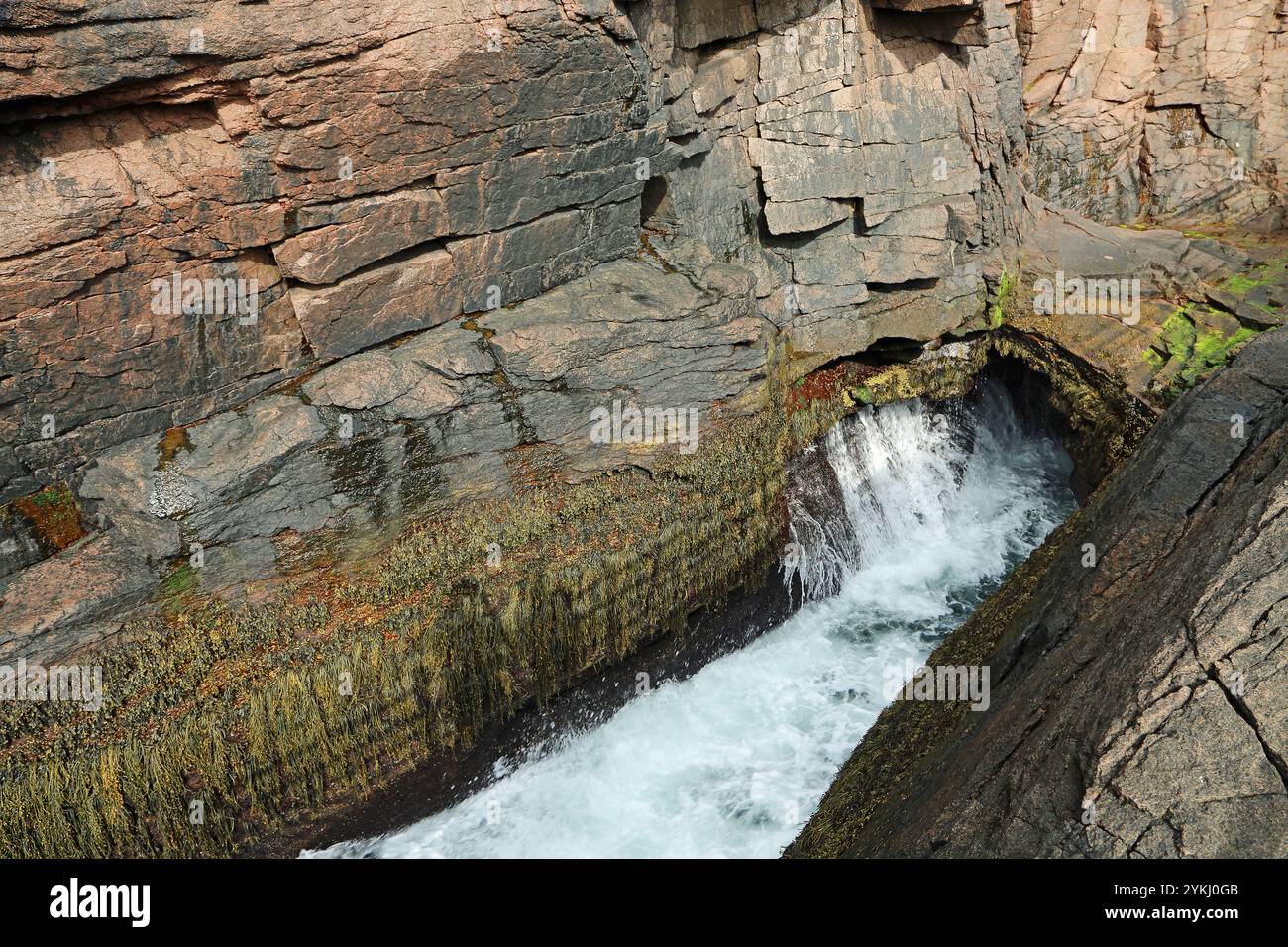 Thunder Hole - Acadia National Park, Maine Stock Photo - Alamy