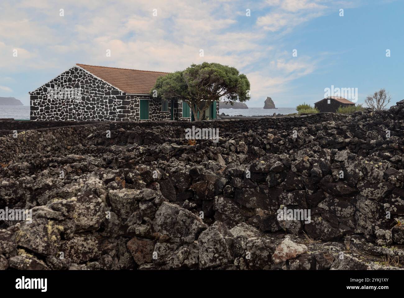 The landscape of the Pico Island Vineyard Culture in Lajido da Criação ...