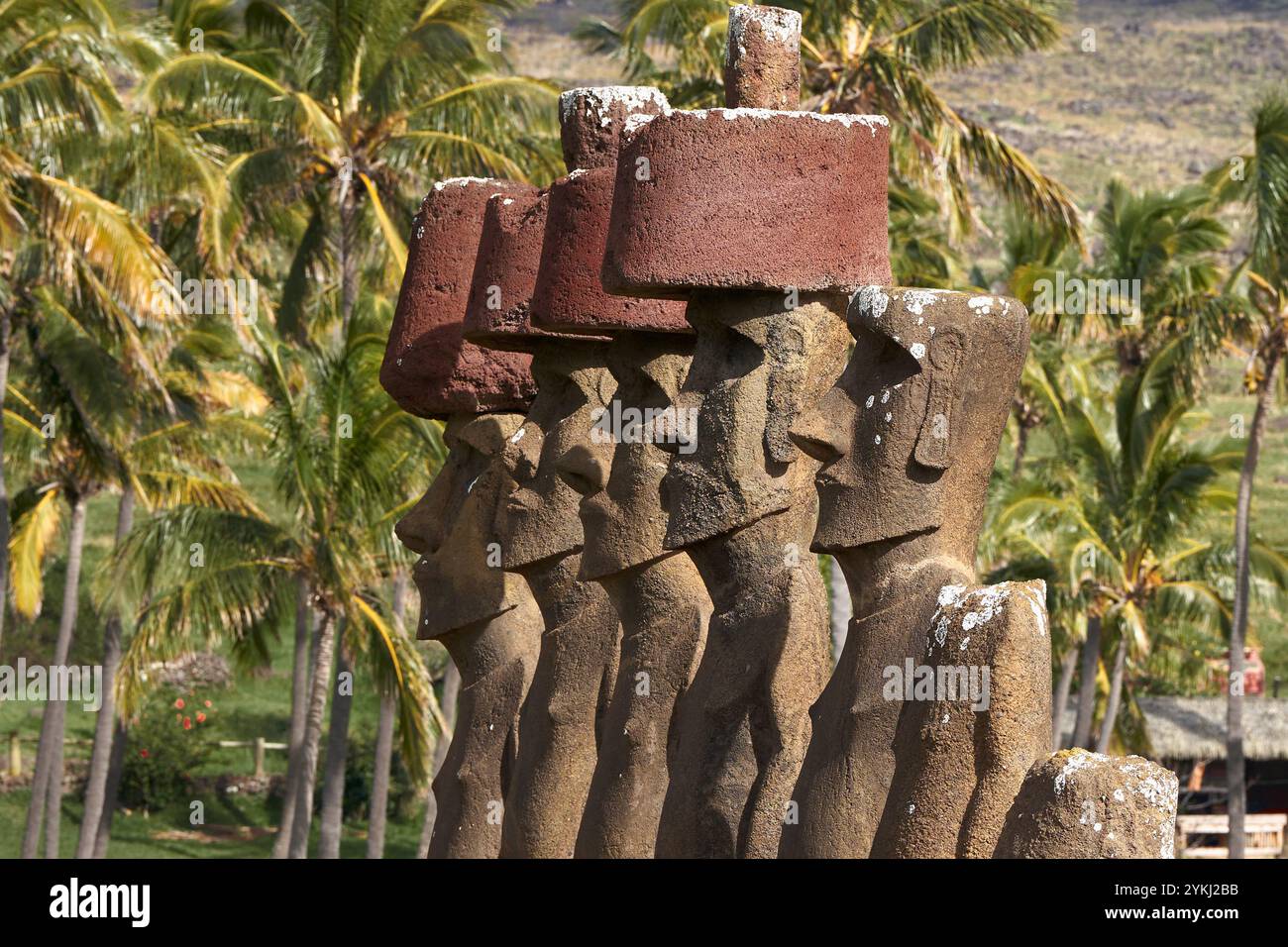 Ana kena hi-res stock photography and images - Alamy