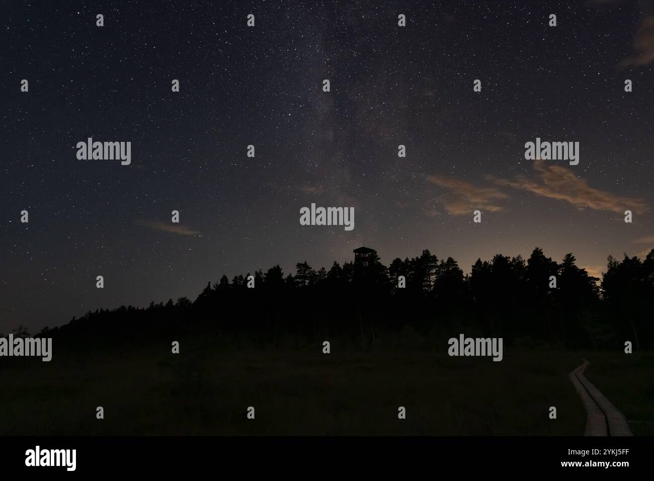 Milky way and stars over forest and Pikanomme observation tower ...