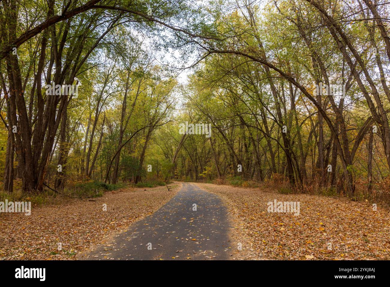 Saddle River Park, Katelyn Park, and Saddle River Park in New Jersey ...