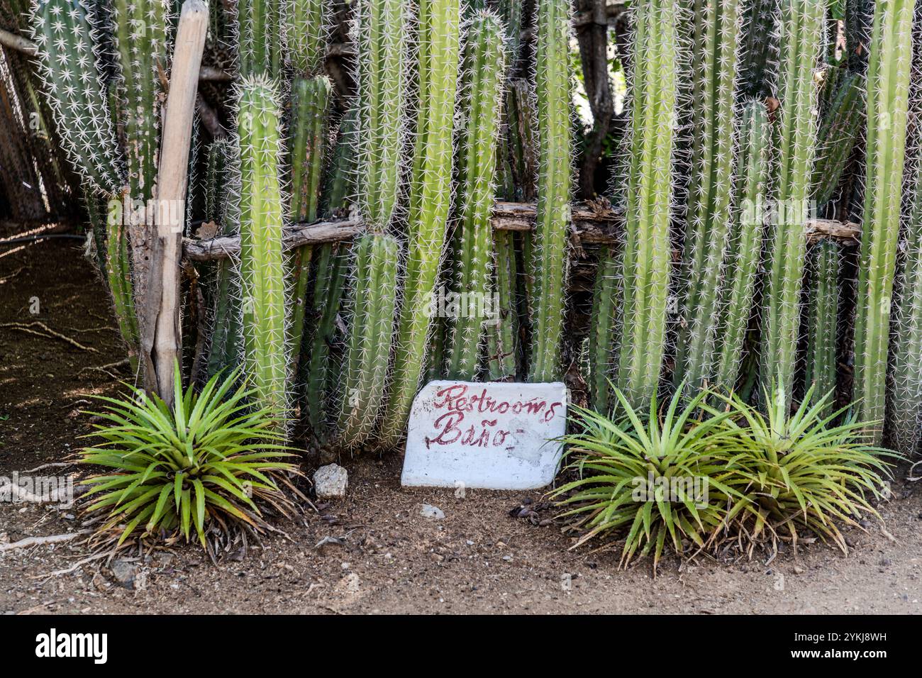 Restroom of the freed slaves with simple walls made of cacti and aloe ...