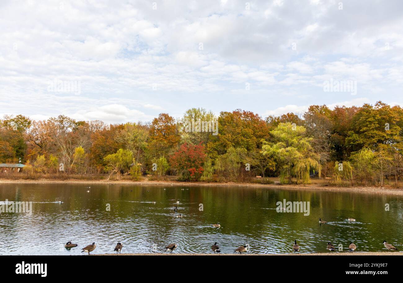 Saddle River Park, Katelyn Park, and Saddle River Park in New Jersey ...