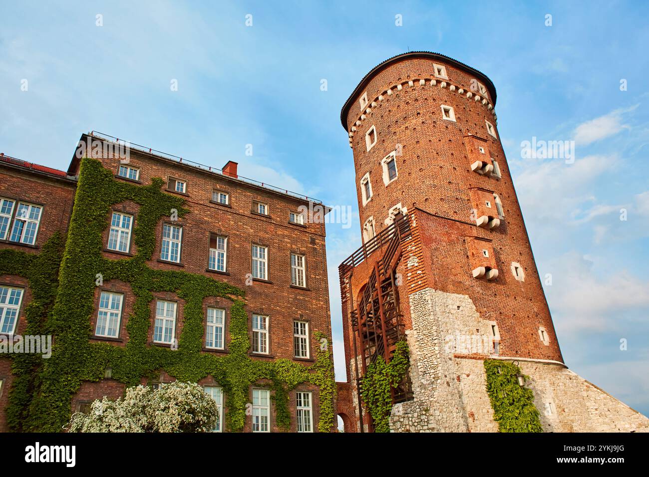 A building made of old red brick with lush green ivy climbing over it ...