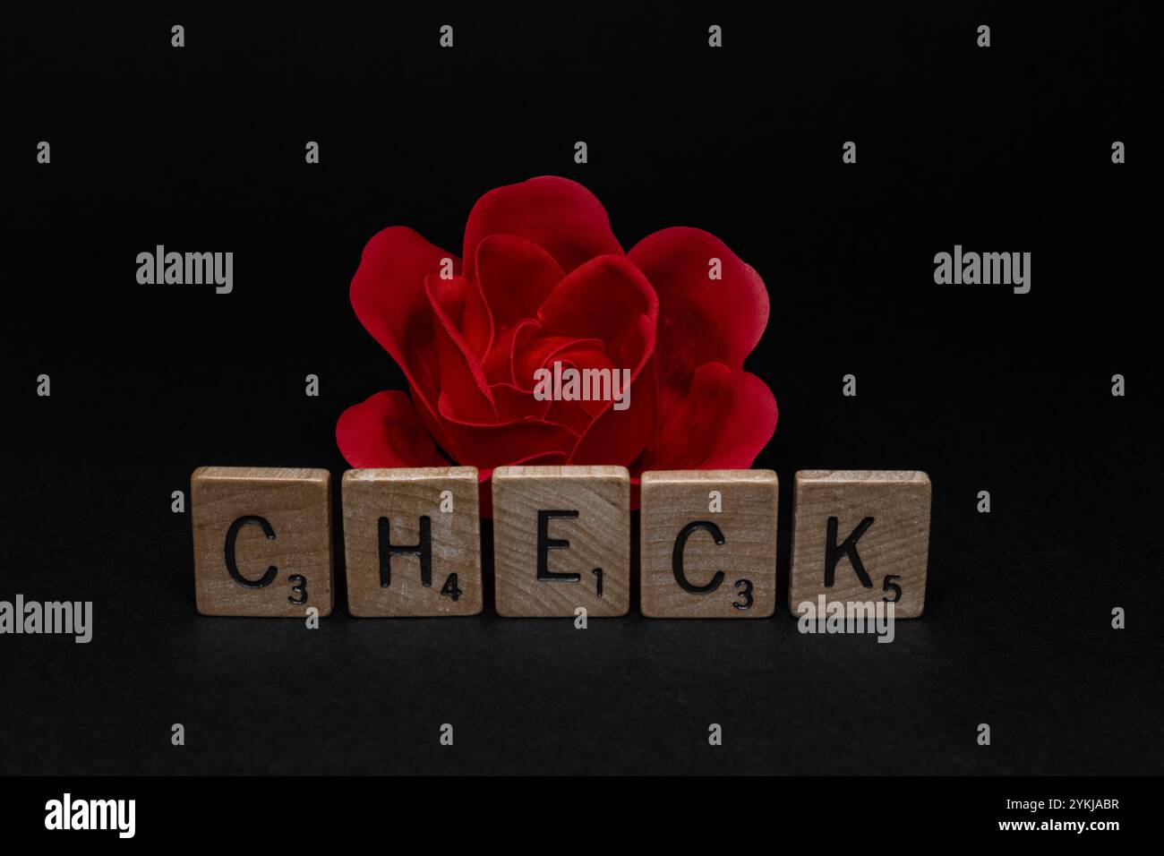 Red rose behind scrabble wooden letters with CHECK word. World Cancer ...