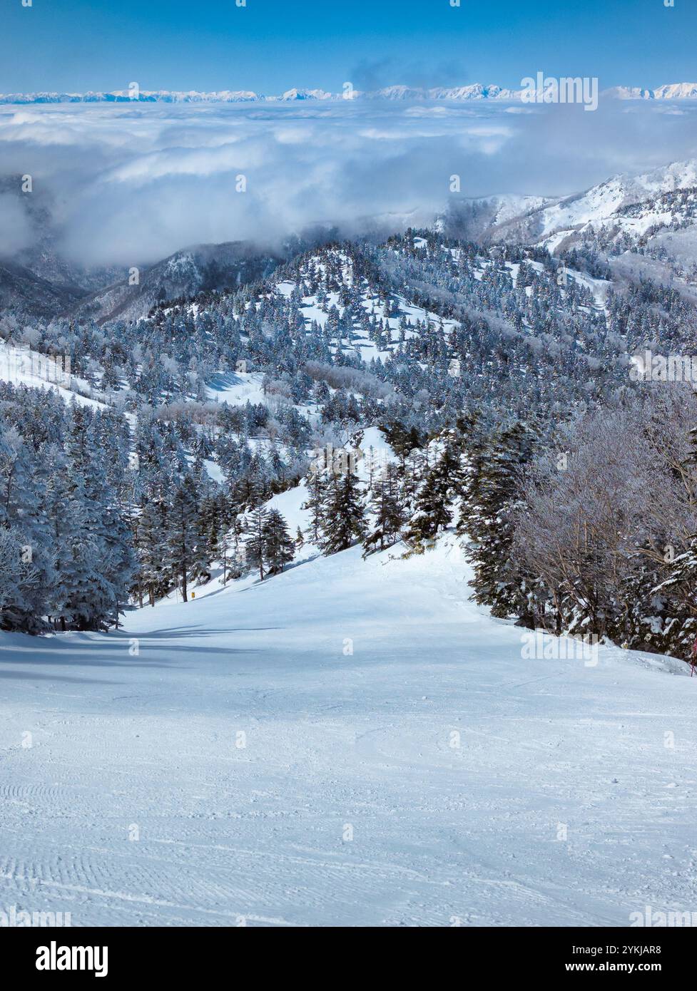 Snow covered forest and mountains and layers of cloud at the Shibutoge ski area in Nagano, Japan ...