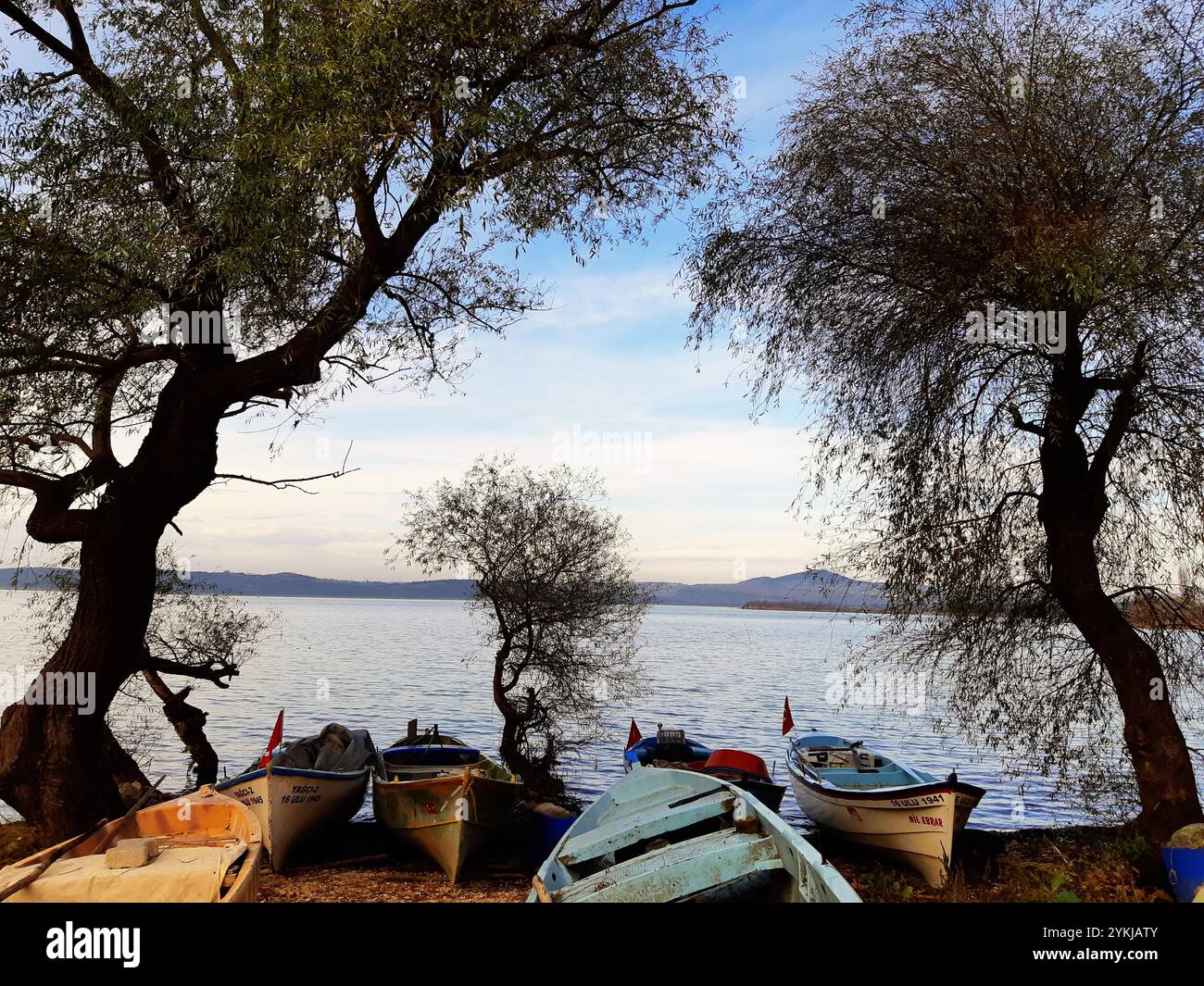 Fishing boats under trees Stock Photo - Alamy