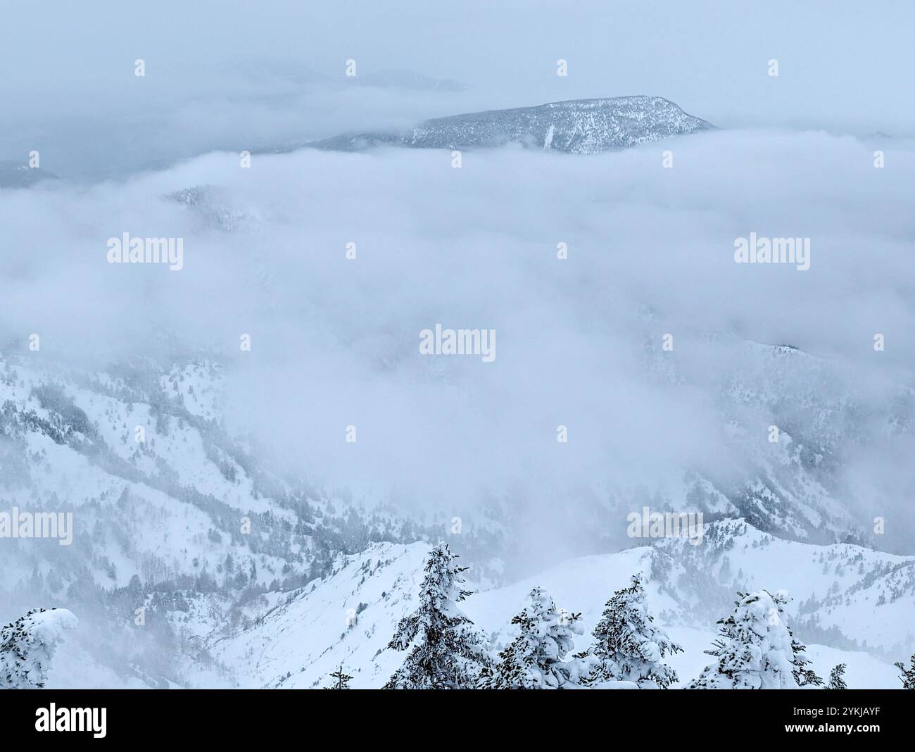 Mountain above the cloud layer hi-res stock photography and images - Alamy