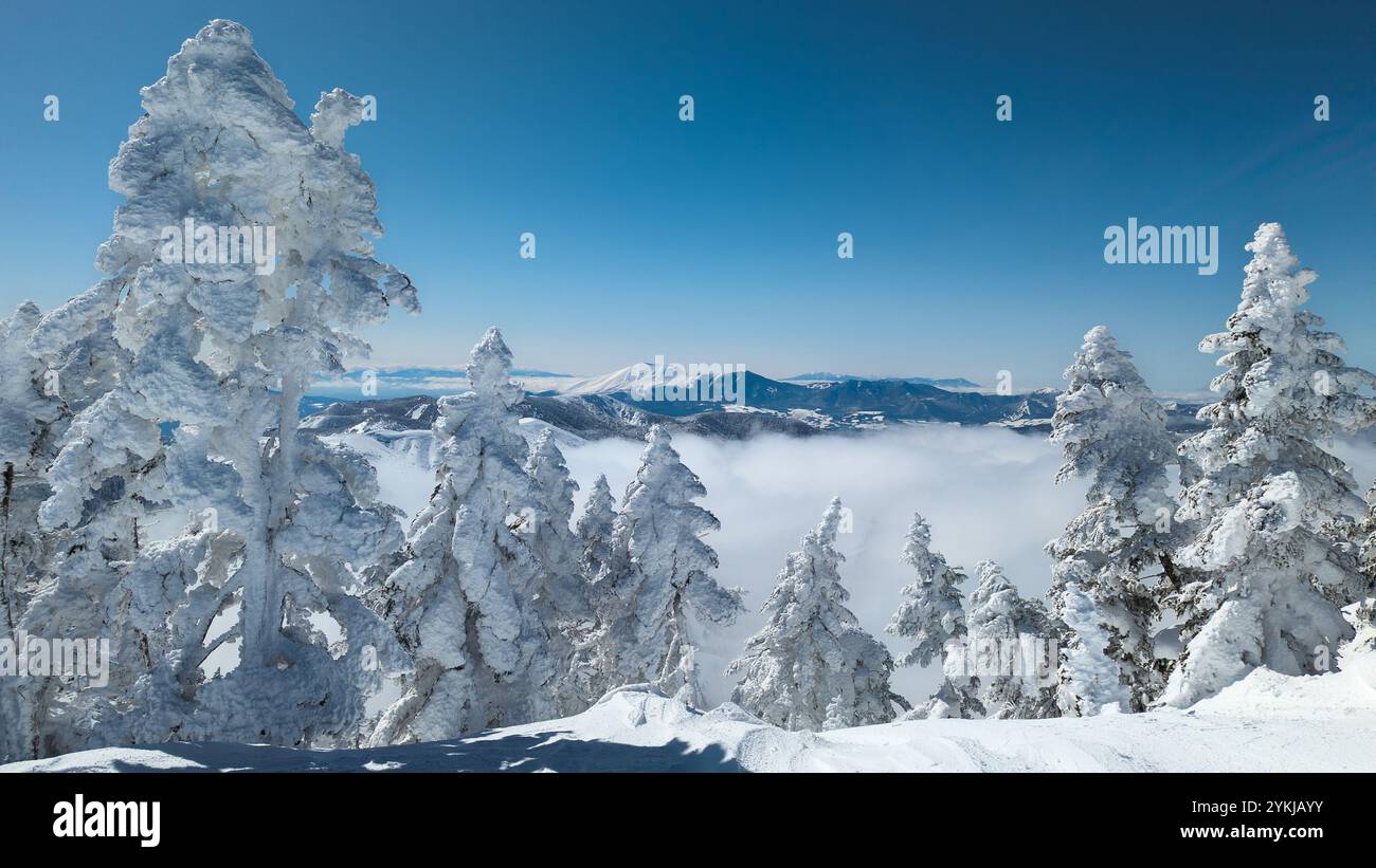 Snowy mountains alpine forest clouds hi-res stock photography and ...