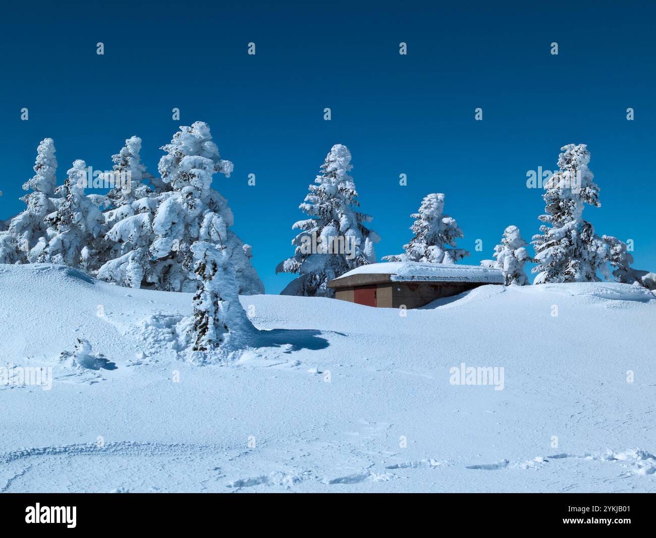 Roof house completely frozen hi-res stock photography and images - Alamy