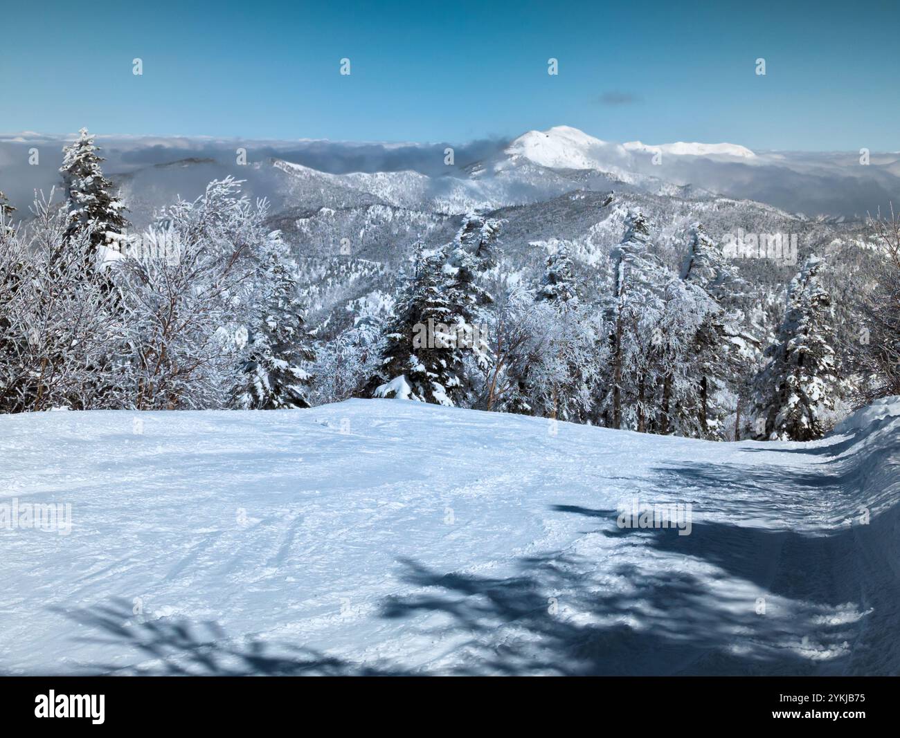 Snowy mountains and forests shrouded in a layer of cloud (Yokoteyama, Nagano, Japan Stock Photo ...