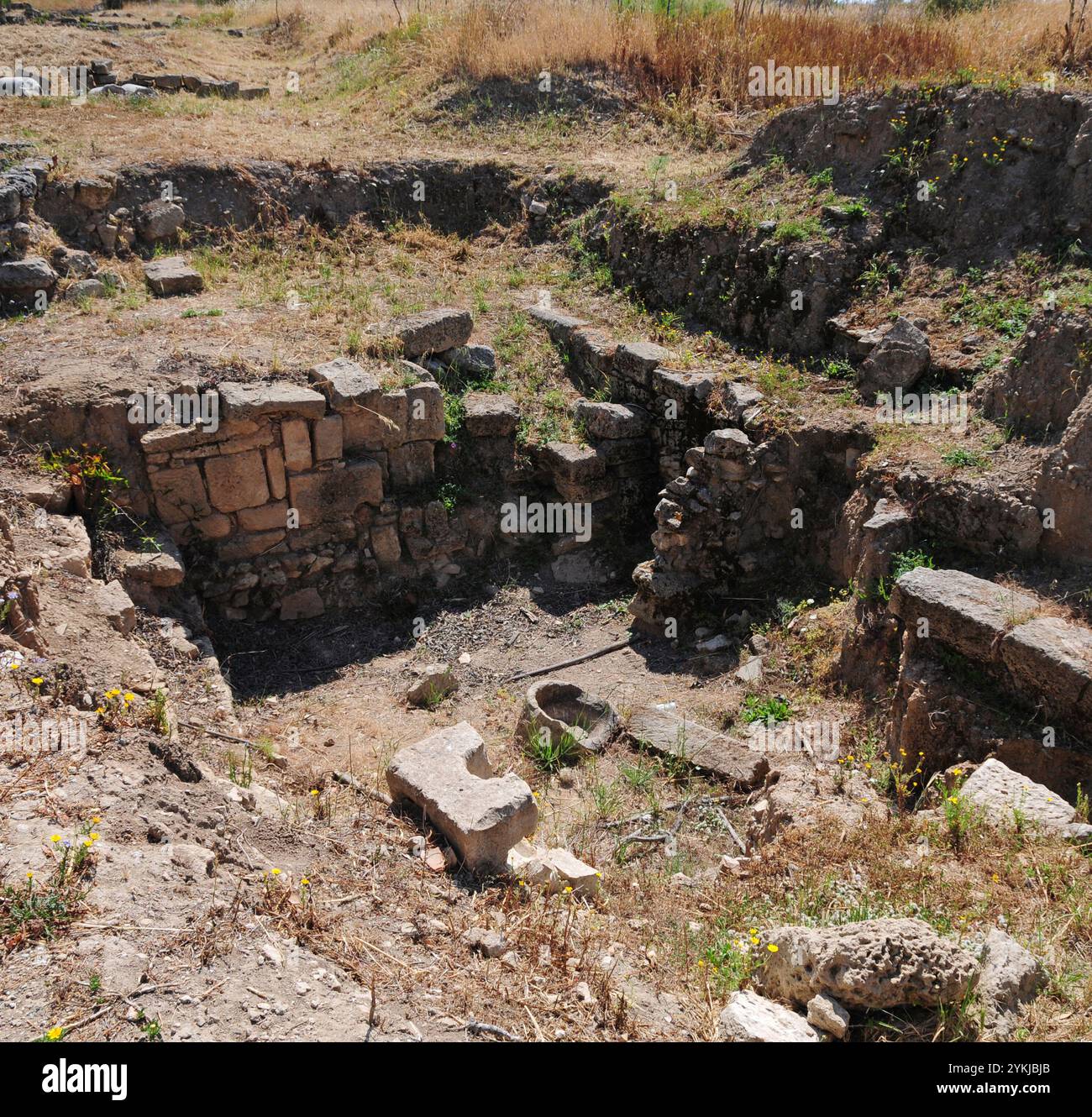 Salamis Antique City and King Tombs in Cyprus is an important ancient ...