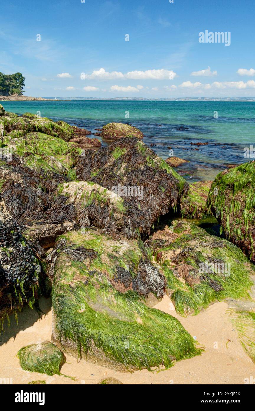 France bretagne tropical hi-res stock photography and images - Alamy