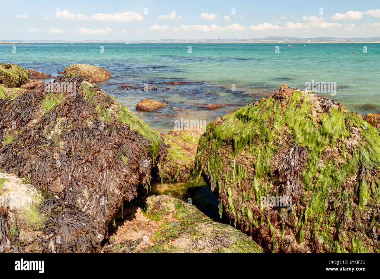 Rock coastline in Brittany, France Stock Photo - Alamy