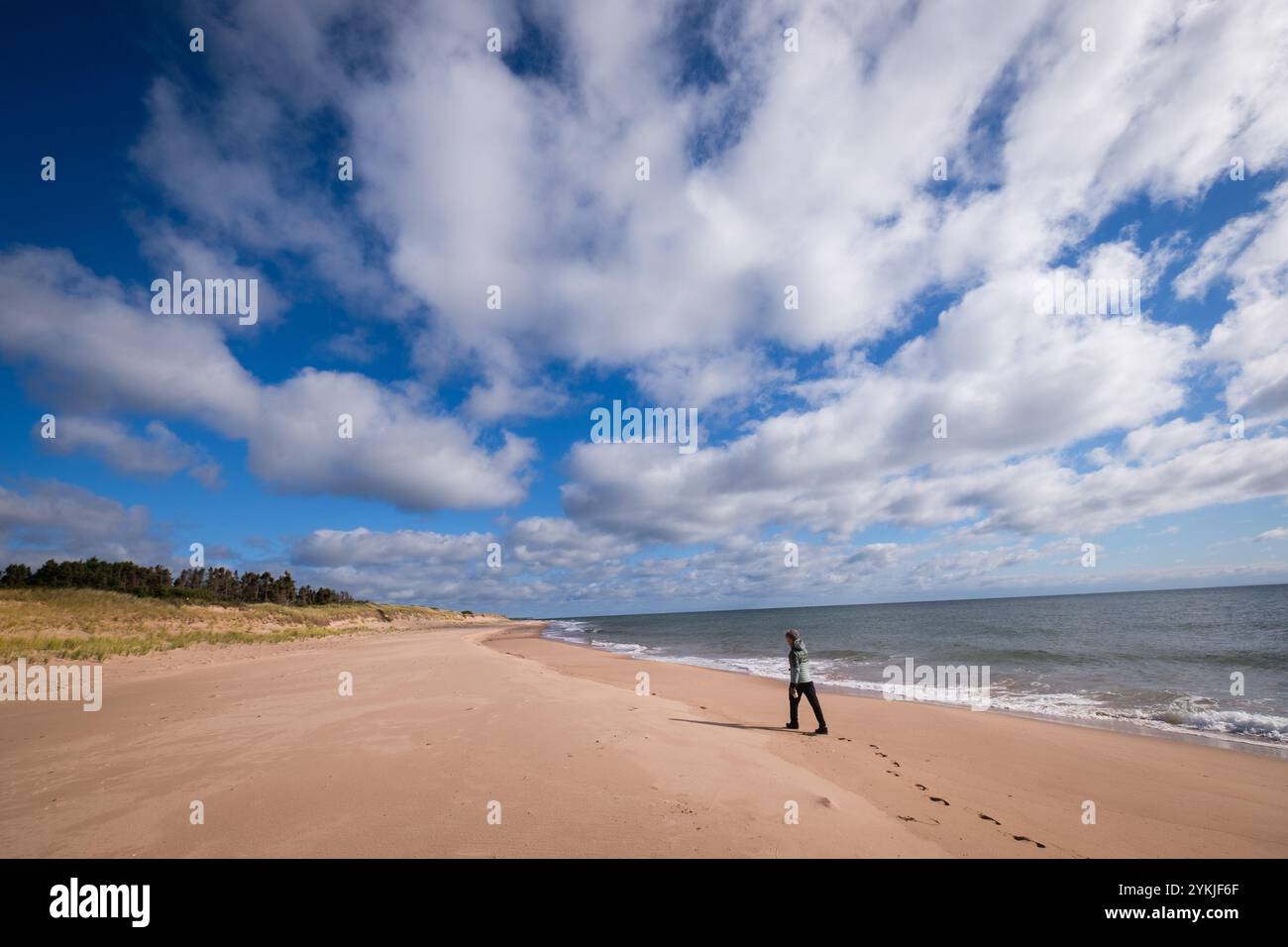 Person walking on beach at Basin Head Provincial Park, Prince Edward ...